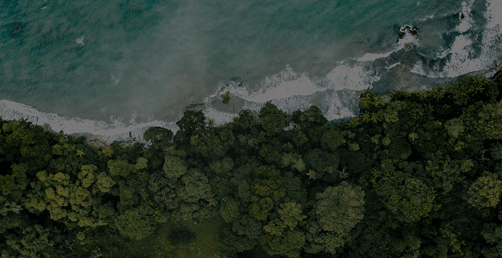 About Us - Reebelo Canada